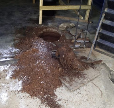 Exposed!!!Pig Head, Buried At A Shop in Lagos Discovered By A New Shop ...