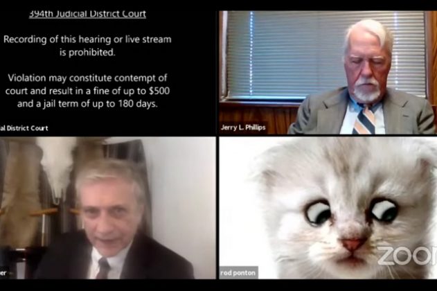 Hilarious: Attorney Accidentally Uses Cat Filter In Zoom Court Hearing ...