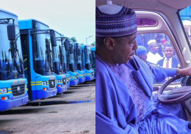 Subsidy Removal: Zulum Unveils 70 Buses For Civil Servants Transport - Gistlover