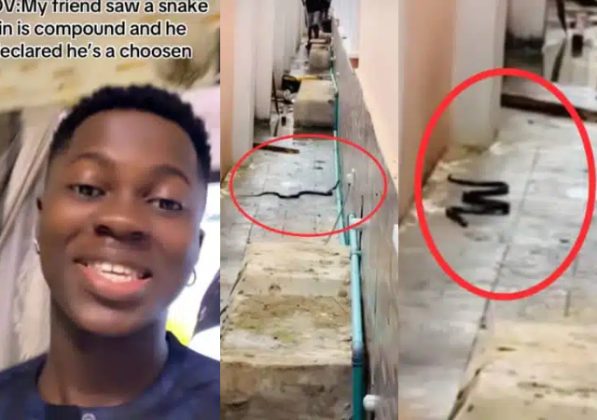 Nigeria man causes stir as he boldly drives snake out of his compound ...