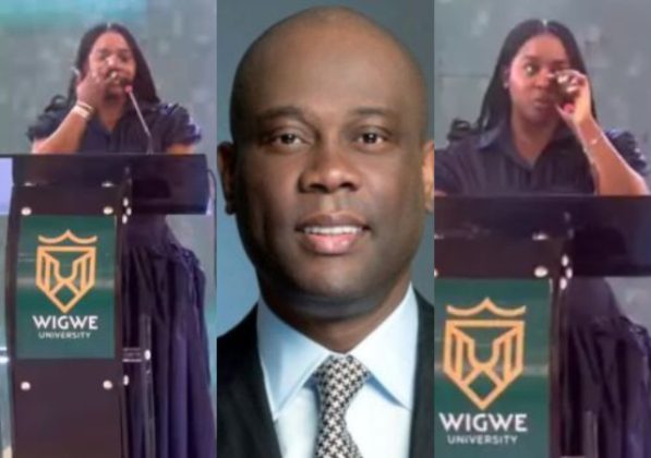 Late Access Bank CEO Daughter Tochi Wigwe Shares Touching Speech At Her ...
