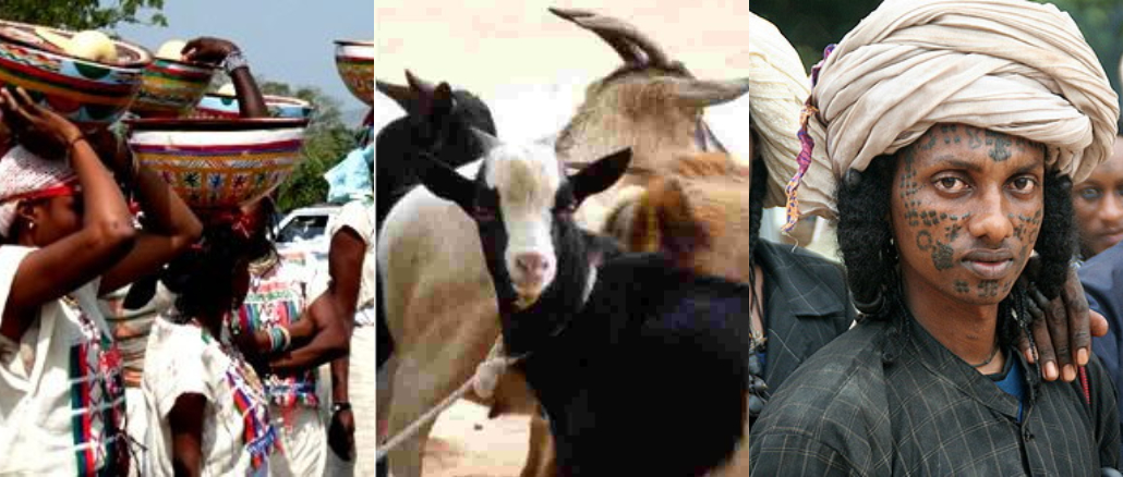 “Why We Don’t Eat Goat Meat”- Fulani Shares