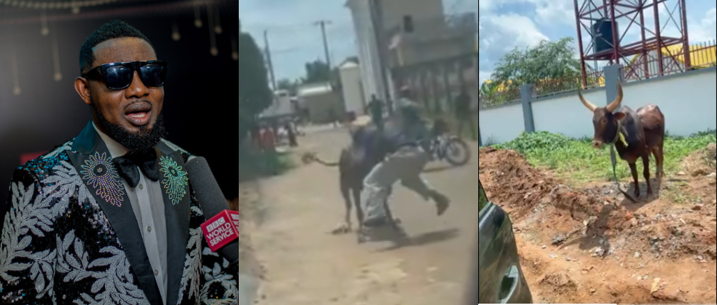 “Taking The Bull By The Horn”- AY Reacts To Man's Daring Encounter With ...