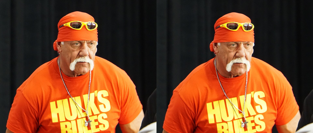 Hulk Hogan: 7 Surprising Facts About the Wrestling Icon You Probably ...