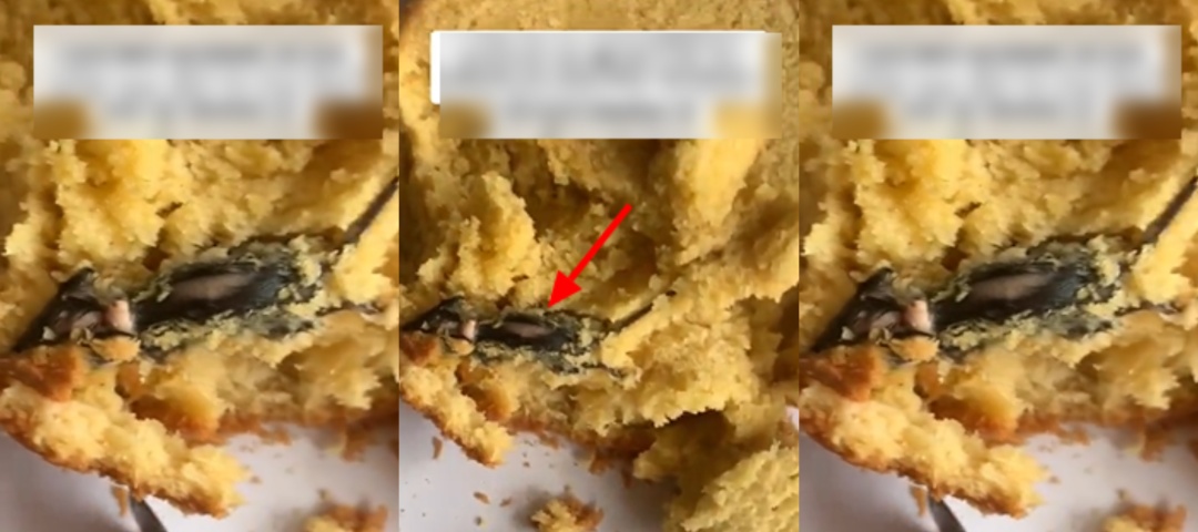 Nigerian Baker Shocked After Finding Rat Inside Cake Meant for Her ...